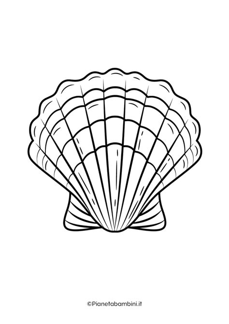 Disegni Di Conchiglie Da Colorare Pianetabambini It