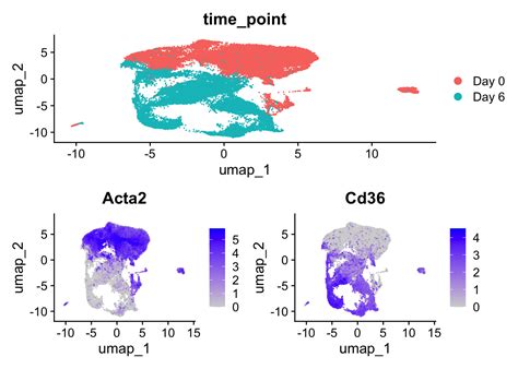 Getting Started With Seurat Differential Expression And Classification