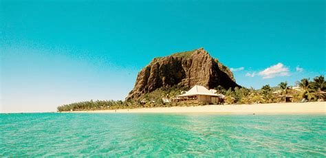 Ile Maurice Faune Et Flore Vacances Arts Guides Voyages