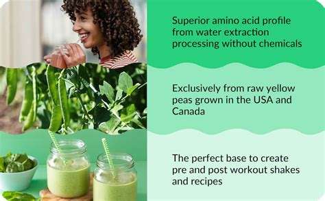 Amazon NAKED Pea 2LB 100 Pea Protein Powder From North American