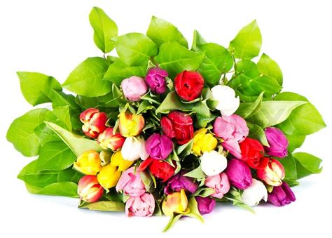 Buket af farverige tulipaner på hvid Stock foto Colourbox