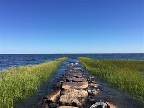 Free Images Beach Landscape Sea Coast Nature Grass Ocean