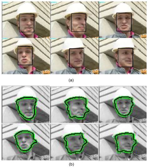 a fast region based active contour for non rigid object tracking and its shape retrieval [peerj]