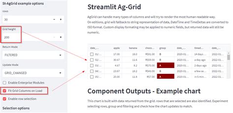 streamlit aggrid table does not show up automatically on page load streamlit aggrid streamlit