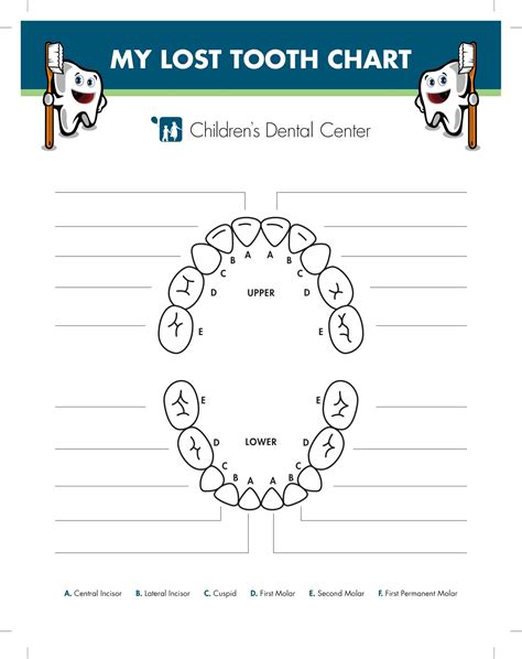 Free Printable Tooth Chart Templates Dental Chart Teeth Numbers PDF