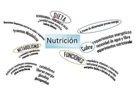 Mapas mentales sobre nutrición Cuadro Comparativo