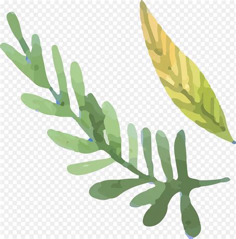 Png Png