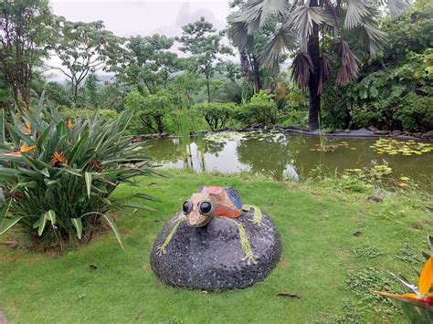Cerca de 700 especies se conservan en el Jardín Botánico de Guayaquil
