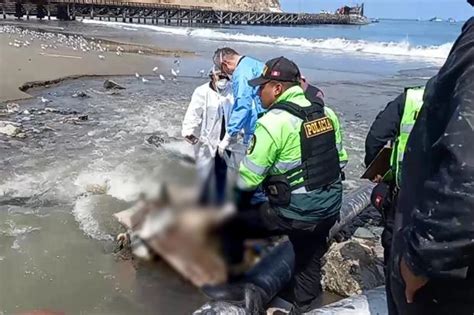 Blanca Olivia Arellano Gutiérrez Turista mexicana desaparecida en