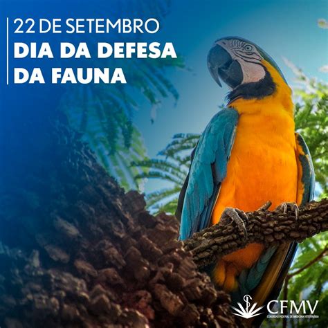 Dia Da Defesa Da Fauna Lembra Necessidade De Combater Desmatamento E