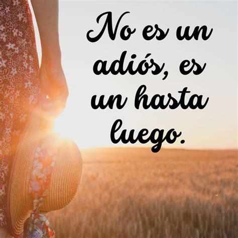 Descubrir 88 Imagen Frases De Adios A Un Ser Querido Abzlocal Mx