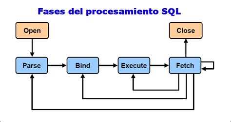 fases durante el procesamiento de una sentencia sql programación pl sql
