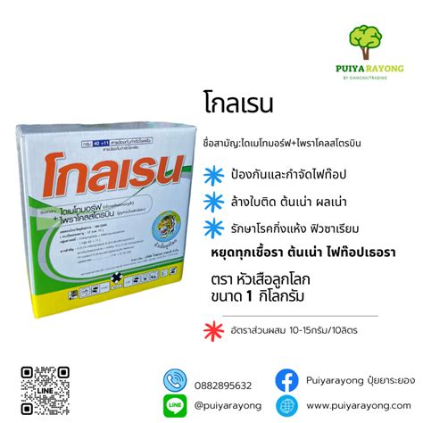 โกลเรน 1กโลกรม ไดเมโทมอรฟ ไพราโคลสโตรบน ปองกนและกำจดไฟทอป