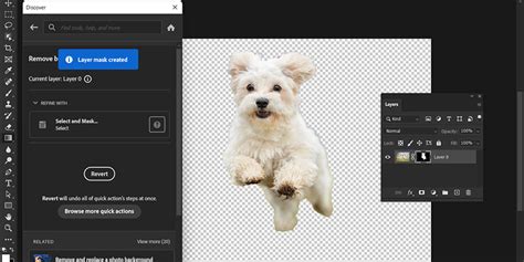 How To Remove A Background In Photoshop In Ways 60 OFF