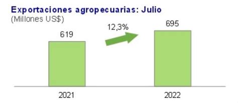 Perú exportaciones agropecuarias crecieron 12 3 en julio de 2022