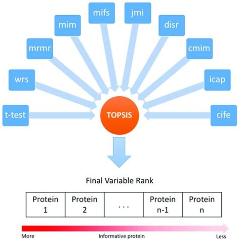illustration of topsis this illustrative example explains the download scientific diagram