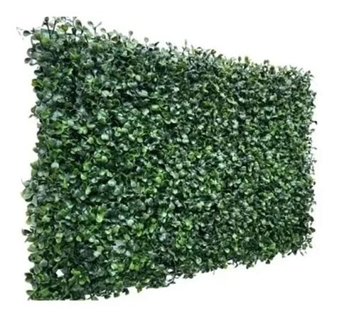 Placa Grama Artificial Personalizado 40x60 Buchinhos Parede