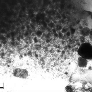 Transmission Electron Microscopy TEM Brightfield Image Of Carbo Iron