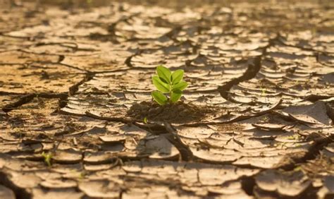 Justiça climática o que é e como afeta as cidades