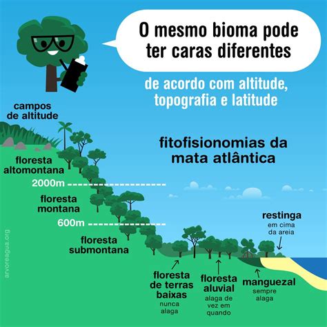 Bacias hidrográficas do RS arvoreagua Descubra o mundo de