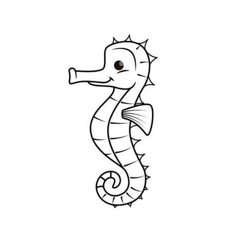 57 Desenhos De Cavalo Marinho Para Imprimir E Colorir Pintar