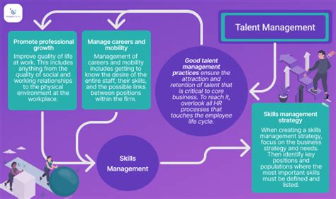 Good Talent Management Your Ultimate Guide PeopleSpheres
