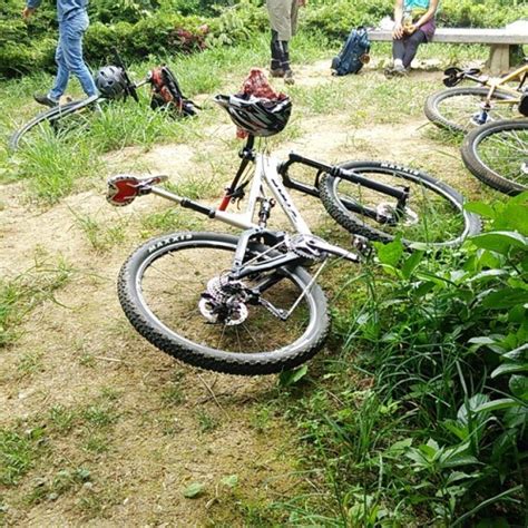 Sicobicycleservice Goodmorning Morningride
