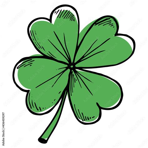 Clover Sketch Illustration Hand Drawn Four Leaf Clover Vector