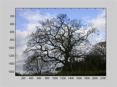 computing a fractal dimension with matlab 1d 2d and 3d box counting
