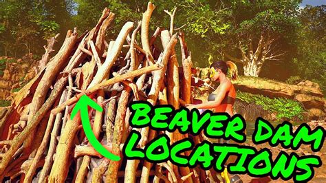 Beaver Dam Locations Ark Survival Ascended On The Island Tons Of