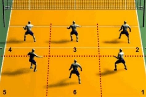 Conoce las diferentes posiciones en el voleibol Cuántas hay y cuáles