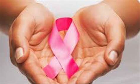 Dia Mundial De Luta Contra O Cancro Doen As Oncol Gicas S O Uma Das