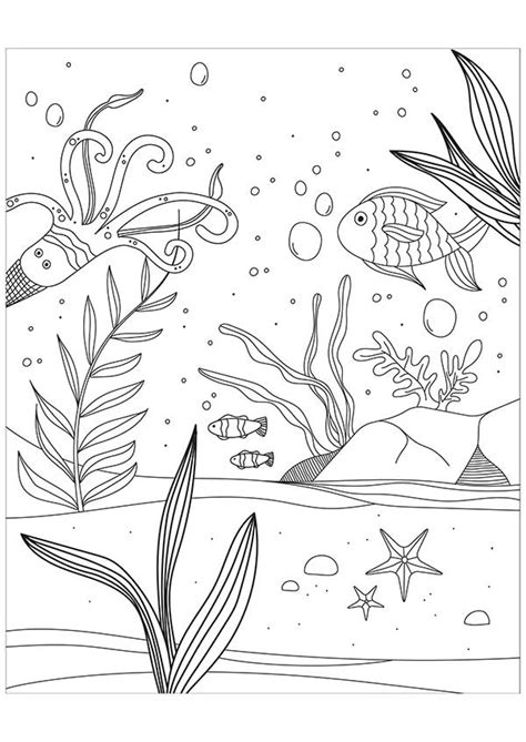 Desenhos Do Fundo Do Mar Para Imprimir E Colorir