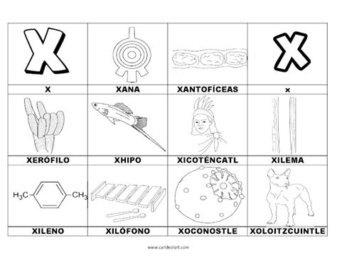 Dibujos Para Colorear Con Letra X Poriferos Para Colorear The Best