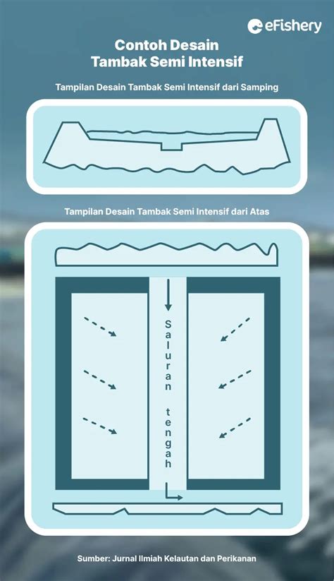 Karakteristik Dan Inspirasi Desain Tambak Udang Yang Baik