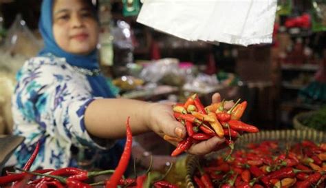Harga Cabai Rawit Merah Tembus Rp Per Kilogram