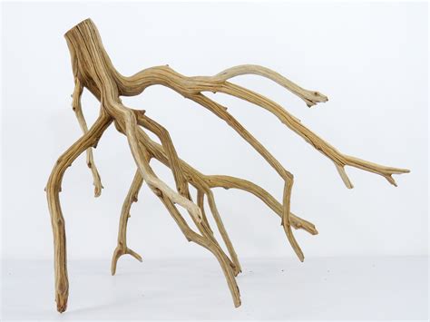 10 Inch Manzanita Branch Root For Aquarium Terrarium Reptile Tank Cage