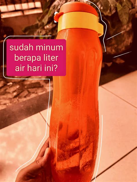 Jangan Lupa Minum Air Putih Galeri Diposting Oleh Ris1015 Lemon8