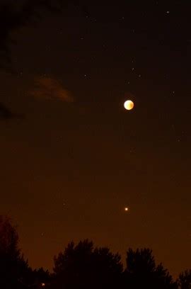 Starlink Nad Polską Kiedy Starlinki Na Niebie Nad Polska Dzis Znow