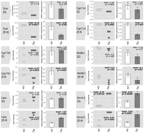 sex related gene expression profiles in the adrenal cortex in the mature rat microarray