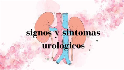Signos Y Sintomas Urologicos Yrianna Batista UDocz