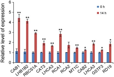 frontiers generation annotation and analysis of a large scale expressed sequence tag library