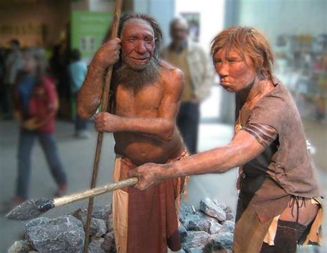 Wieviel Neandertaler steckt in uns und warum Nachricht Archäologie