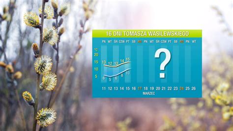 Pogoda na 16 dni Prognoza długoterminowa Tomasza Wasilewskiego Długo