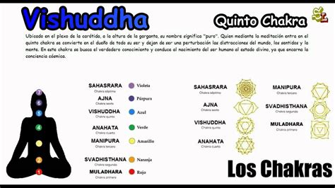 Los Siete Chakras Principales Los Chakras Y Su Significado Las