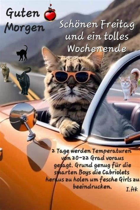 Pin Von Amanda Schmierer Auf Guten Morgen Guten Morgen Lustig Guten
