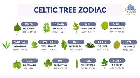 Use This Chart To Discover Your Celtic Zodiac Tree Sign