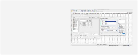 Custom Tables IBM SPSS Statistics