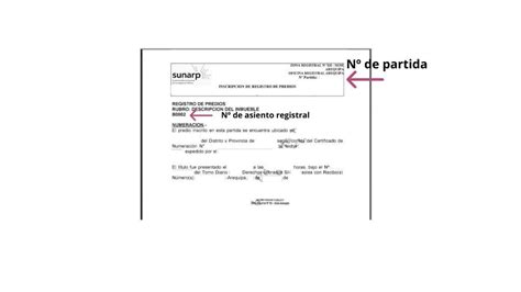 Qué es una partida registral Tus Patas Legales