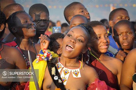 Ludzidzini Swaziland Africa The Swazi Umhlanga Or Reed Dance